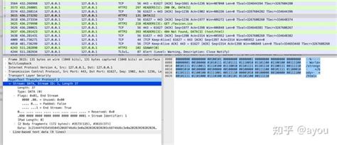 当 Transfer Encoding Chunked 遇上 2 知乎