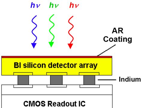 Cmos Hybrid Cross Sectional Diagram Showing Detector Readout And