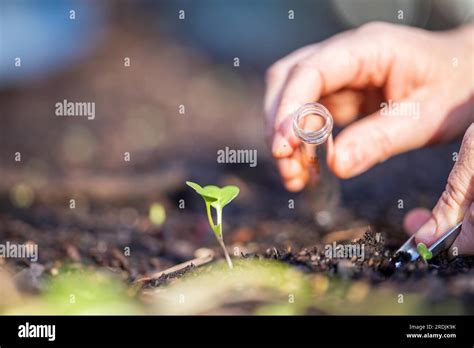 Taking A Soil Sample For A Soil Test In A Field Testing Carbon Taking A Soil Sample For A Soil Test In A Field Testing Carbon