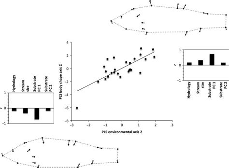 Correlation Of Coupled Partial Least Squares Latent Vectors Of Body Download Scientific Diagram