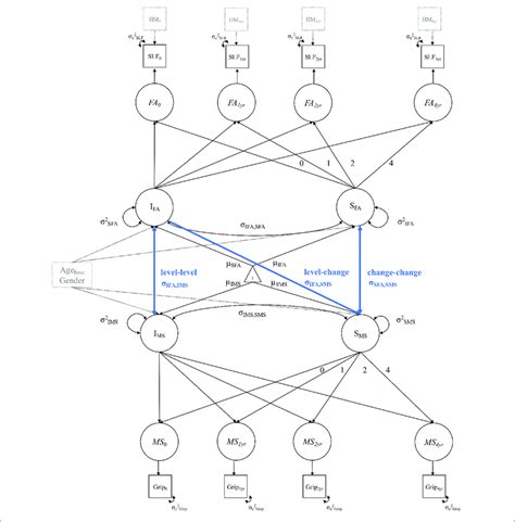 Example Diagram Of A Bivariate Lgc Model For Motor Strength Ms In Download Scientific