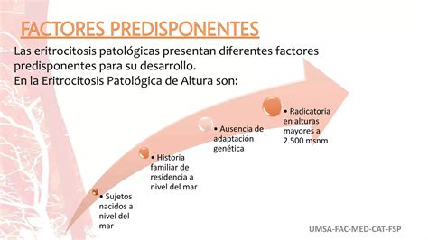 Eritrocitosis Excesiva Pptx