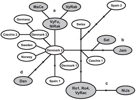 Parsimony Network Of 12s Haplotypes From Eleven Analysed Populations Of