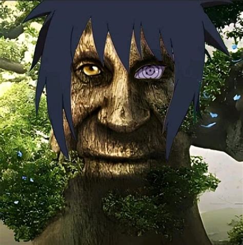Si Sasuke Se Transforme En Arbre Rnarutomemes Si Sasuke Se Transforme En Arbre Rnarutomemes