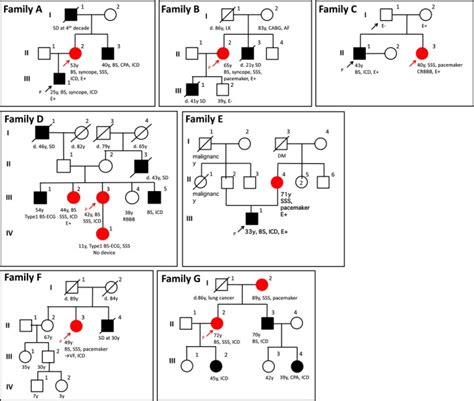 Sex‐dependent Phenotypic Variability Of An Scn5a Mutation Brugada Syndrome And Sick Sinus