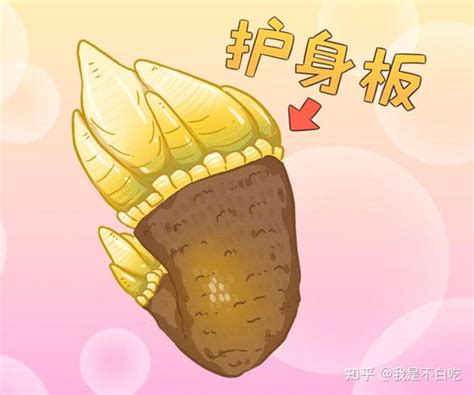 来自地狱的海鲜佛手螺 知乎