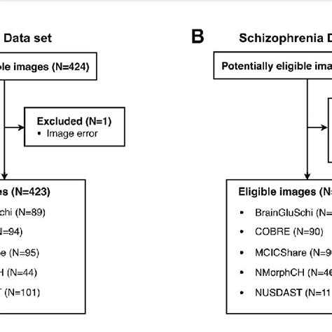 Five Public Mri Data Sets For The Detection Of Schizophrenia Through