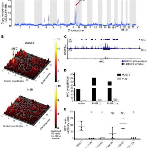High Levels Of Myc Correlate With Insensitivity Of Os Cells To E9 Download Scientific Diagram