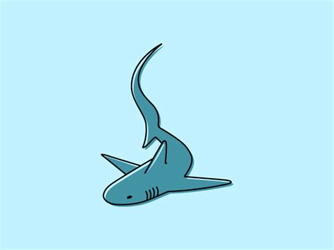 Thresher Shark Drawing At PaintingValley Com Explore Collection Of Thresher Shark Drawing