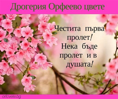 Честита Първа Пролет Дрогерия Орфеево Цвете билкова аптека Варна