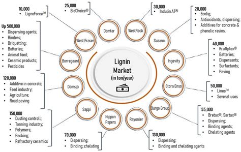Figure 12 From Lignin Functionalization Strategies And The Potential Applications Of Its
