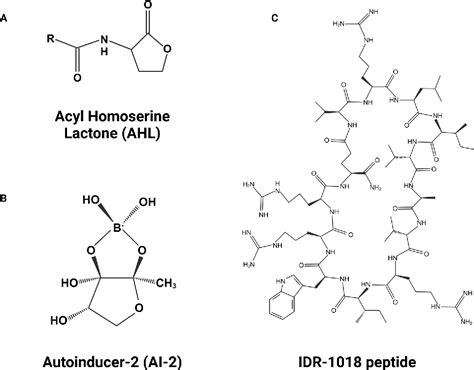 Figure 1 From Lipid Nanocarriers Enabled Delivery Of Antibiotics And