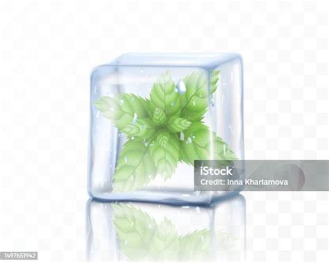 얼어붙은 신선한 녹색 민트 잎이 있는 천연 수정처럼 맑은 얼음 조각 투명한 배경에 격리되어 있습니다 사실적인 3d 벡터 일러스트레이션 3차원 형태에 대한 스톡 벡터 아트 및
