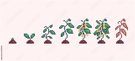 Cucumber Plant Growth Progress Pixel Art Sapling Germination Stages 8 Bit Sprite Game