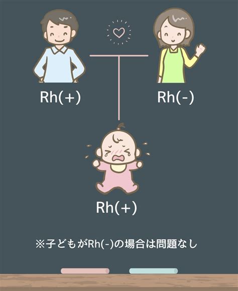 Rh式血液型不適合妊娠って何検査や費用について教えます はんなりびんぐ