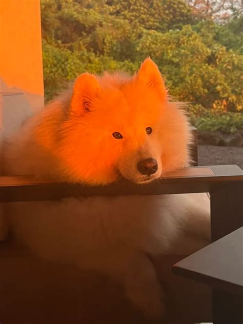 Tidy Data Filtering In R Tips And Tricks With Tidyverse By Syed Hamed Raza Dev Genius