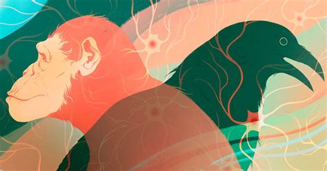 Intelligence On Earth Evolved Independently At Least Twice Ztoog