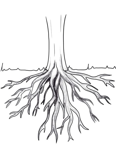Draw Tree Roots In 10 Easy Steps Artsydee Drawing Painting Craft Creativity