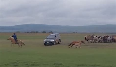 “Гацуурт” ХХК ийн захирал Л Чинбатыг худал мэдээлэл тараасан гэм буруутайд тооцож зорчих эрхийг