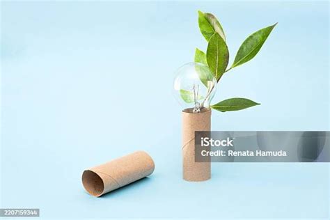 녹색 나뭇잎과 전구 재활용 빈 화장지 롤에서 성장 파란색 배경 녹색 에너지 및 지속 가능성 개념 0명에 대한 스톡 사진 및 기타