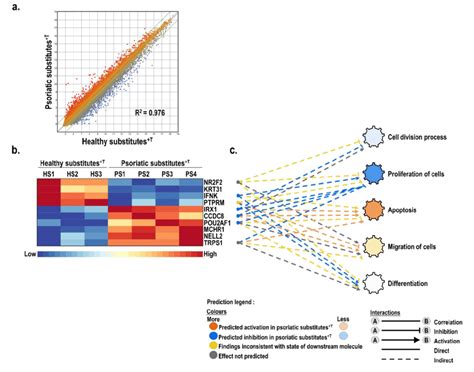 microarray analysis of the gene expression pattern between t