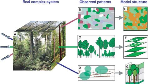pattern oriented model design observed patterns that characterize