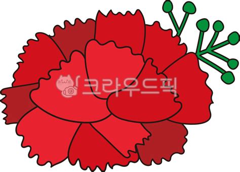 Carnation 카네이션 Flower 꽃 귀여운 사진이미지일러스트캘리그라피 Ziziyam작가