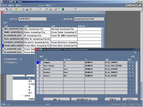Oracle Ebs系统应用基础概述2oracle的页面用了什么flexfield怎么看 Csdn博客
