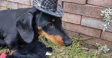 Witch Album On Imgur