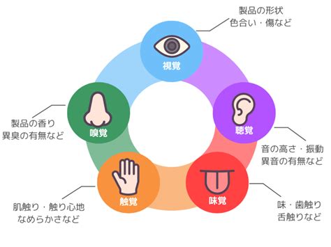 Sensory Testcircle Xc Times（エクシータイムズ）