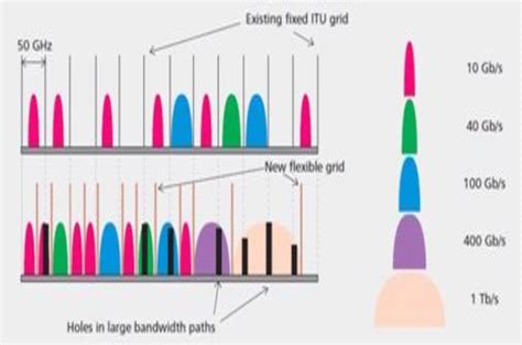 Comparison Of Data Allocation In Eon And Wdm 3 1 Download