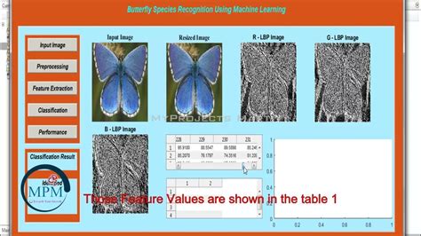 Butterfly Species Recognition In Dataset By Machine Learning Classifier