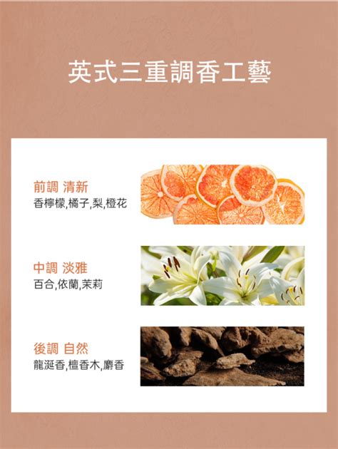 Nougat London 英國森活水感髮膜 260克 修護、滋潤、補水三合一 Nougat London 官方旗艦店