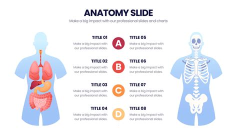 Anatomy Powerpoint Infographics Anatomy Infographic Templates Anatomy Powerpoint Infographics Anatomy Infographic Templates