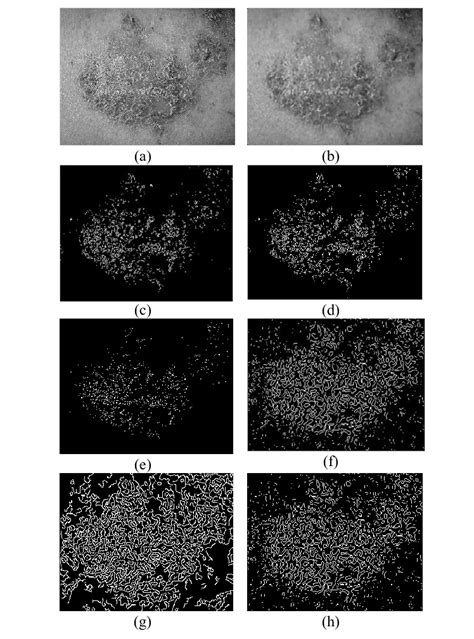 Noise Reduction And Different Edge Detection Process A Gray Scale Download Scientific Diagram