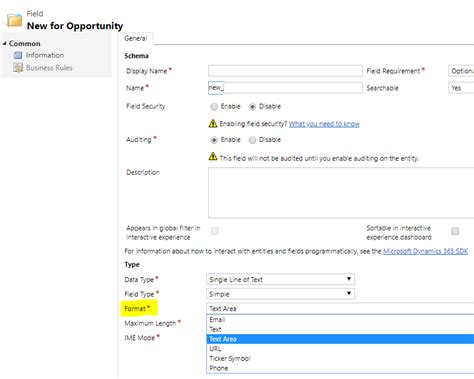 Dynamics 365 Format Single Line Of Text Fields As Phone Numbers Urls