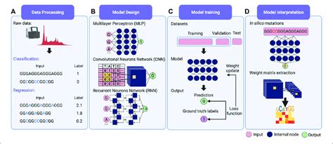 Schematic Overview Of Deep Learning Workflow A Data Processing