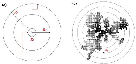 figure 1 from fractal simulation of flocculation processes using a