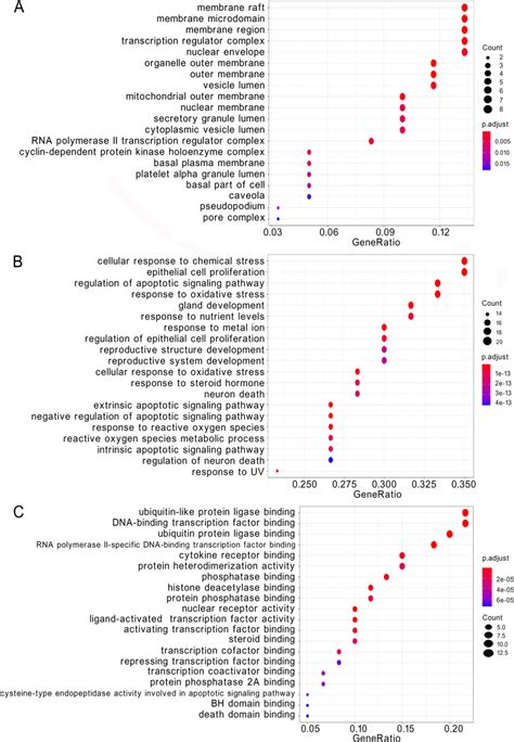 Go Function Enrichment Analysis A Cellular Component Category B