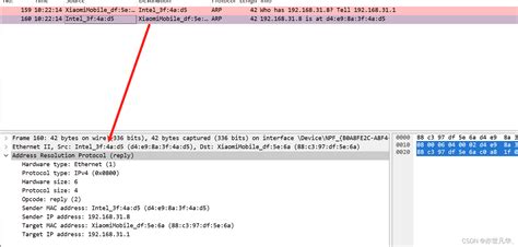 玩转网络抓包利器：wireshark常用协议分析讲解 wireshark协议分析 csdn博客