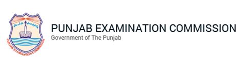 Mandi Bahauddin Th Class Result Layyah Narowal