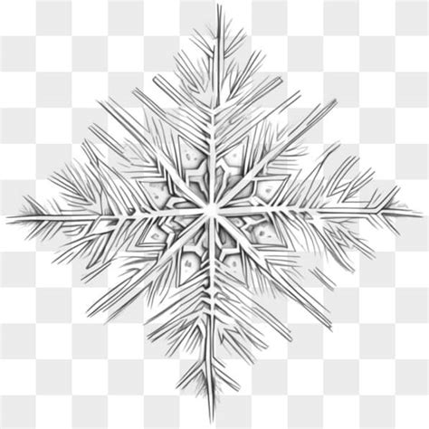 Download Snowflake In Black And White Sketches Online Creative Fabrica