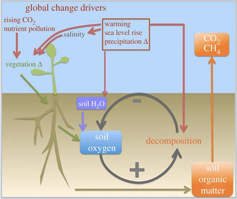 Mastering The Art Of Metal Detecting How To Distinguish Valuable Finds From False Signals