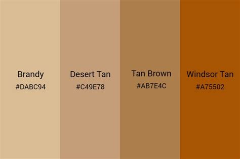 Is Tan Beige Or Brown