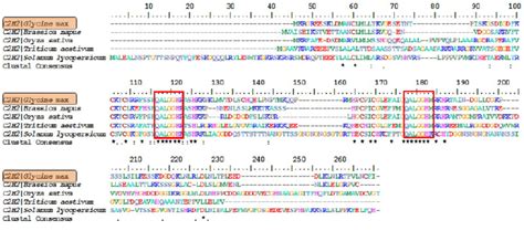 Sequence Alignments Of The Predicted Amino Acid Sequence Encoded By Download Scientific