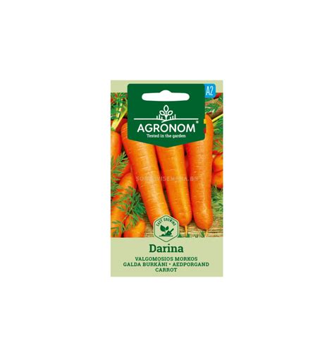 СК СЕМЕНА МОРКОВИ ДАРИНА - CARROT, DARINA | Моркови | SortoviSemena.BG