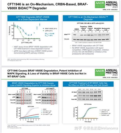 【2023aacr】braf靶向耐药问题有了新希望 知乎