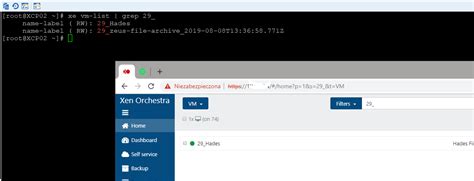 Vm Visible In Console Not In Xen Orchestra Xcp Ng And Xo Forum