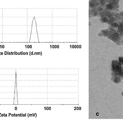 Superparamagnetic Iron Oxide Nanoparticles Spions Characterization