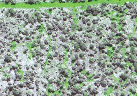 High Resolution Imagery Of Selective Logging Activity In Tropical Download Scientific Diagram